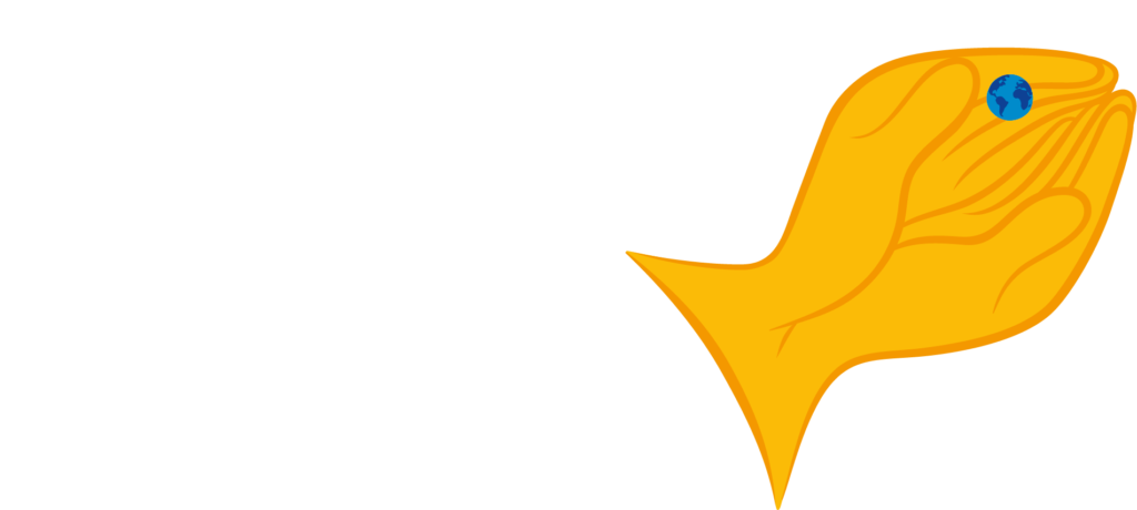 La reproduction des coraux - Planète Mer